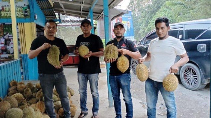 Ayo Berwisata Sambil Berburu King of Fruits di Tangse, Pidie, Harga ...