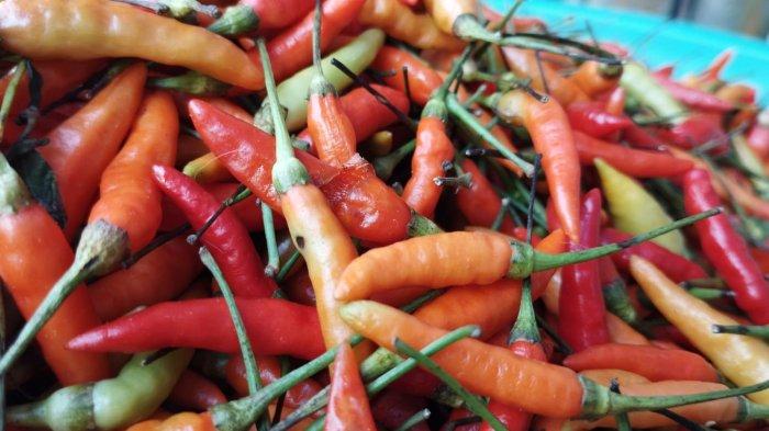 Stok Berkurang, Harga Cabai Rawit di Pasar Mardika Meroket Tembus Rp 100 Ribu per Kilo ...