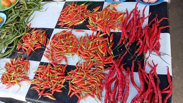 Harga Cabai Rawit di Pasar Tual Tembus Rp 100 Ribu per Kg - Tribunambon.com