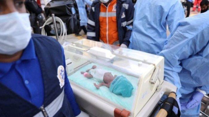 28 Bayi Prematur yang Dievakuasi dari Gaza ke Rumah Sakit di Mesir ... 28 Bayi Prematur yang Dievakuasi dari Gaza ke Rumah Sakit di Mesir ...