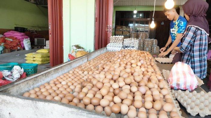 Harga Telur Ayam Ras di Kota Masohi Stabil Tinggi - Tribunambon.com