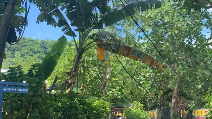 Kabel Telepon dan PLN di Kampung Wali Kota XII Ambon Dicky Wattimena ...