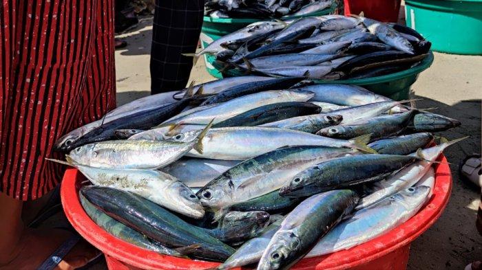 Harga Ikan Melonjak di Pasar Tulehu Setelah 2 Hari Lebaran ...