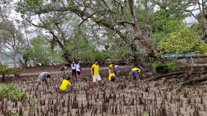 Jaga dan Lestarikan Alam, Pemuda Negeri Waai Tanam 2.000 Mangrove di Pesisir Pantai Naang ...