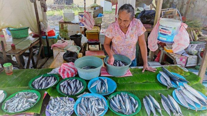 Cuaca Membaik, Harga Ikan Momar di Ambon Turun Jadi Rp. 600 Ribu per ...