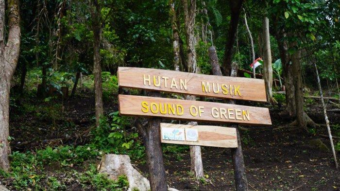 Dukung Ambon City of Music, TJSL PLN UIW MMU Bantu Pembangunan Hutan ...