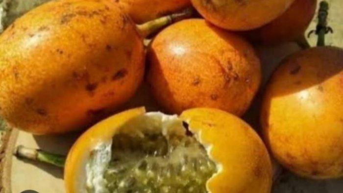 Yuk Konsumsi Buah Markisa! Ini 5 Manfaatnya Bagi Kesehatan - Tribunambon.com