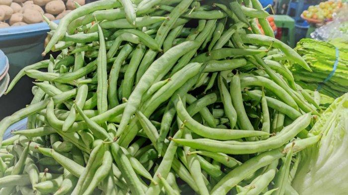 Rutin Konsumsi Buncis, Simak Ragam Manfaatnya - Tribunambon.com