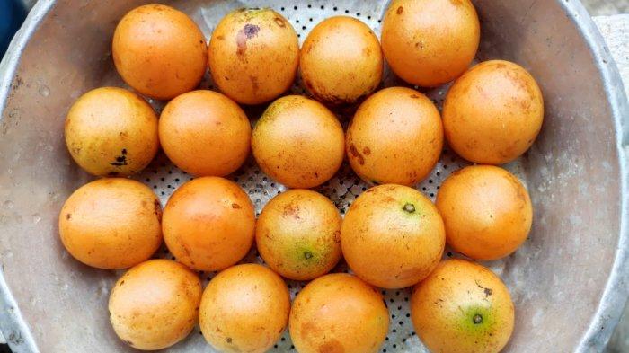 Simak 9 Manfaat Buah Gandaria tuk Kesehatan, Salah Satunya Atasi ... Simak 9 Manfaat Buah Gandaria tuk Kesehatan, Salah Satunya Atasi ...