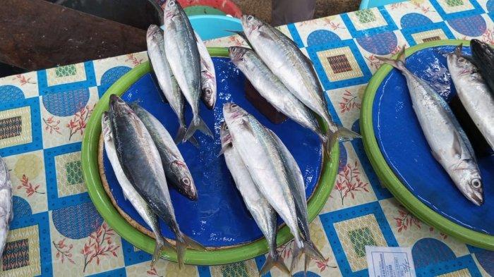 Musim Hujan, Harga Ikan hingga Cumi di Masohi Semakin Mahal ...