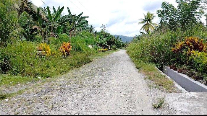 Miris, Ruas Jalan Penghubung Negeri Watludan - Trana Rusak Puluhan Tahun Tak Diperhatikan ...