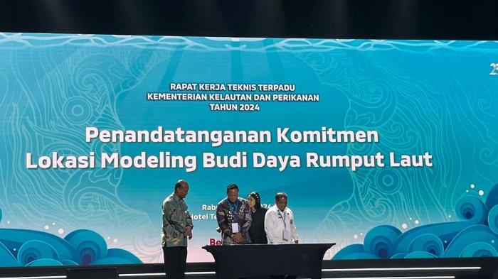 Maluku Tenggara Jadi Model Budidaya Rumput Laut, Ini Keuntungannya - Tribunambon.com