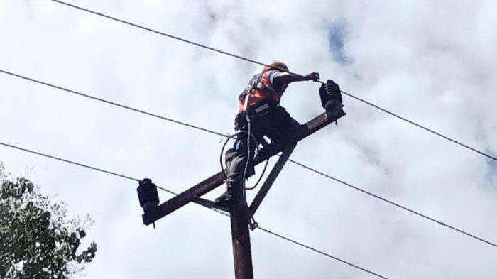 PLN ULP Bula Gerak Cepat Pulihkan Sistem Kelistrikan Akibat Pohon ...