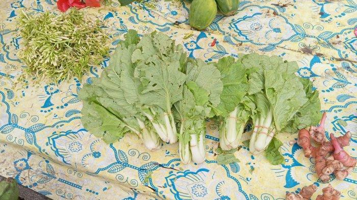 Besok Lebaran, Harga Sayur di Pasar Langgur Maluku Tenggara Mahal ...