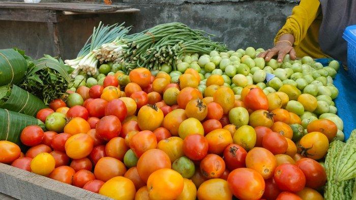 Harga Tomat di Kota Masohi Terus Meroket, Kini Tembus Rp 50 Ribu per ... Harga Tomat di Kota Masohi Terus Meroket, Kini Tembus Rp 50 Ribu per ...