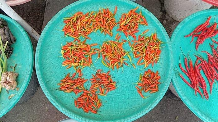 Harga Cabai Rawit di Pasar Langgur Maluku Tenggara Masih Mahal, Rp 120 Ribu Per Kilo ...