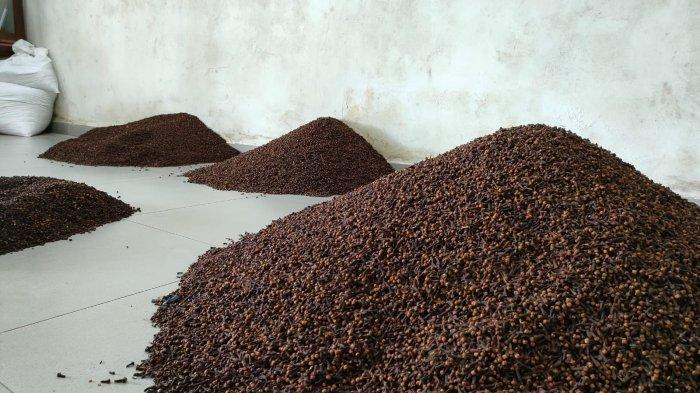 Harga Cengkeh di Kota Masohi Tembus Rp. 117 Ribu Per Kilo - Tribunambon.com