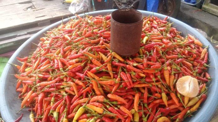 Pekan Lalu Capai Rp 60.000, Harga Cabai Rawit Merah di Ambon Kini Rp 40.000 Per Kg - Tribunambon.com