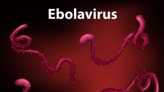 Virus Ebola Kembali Merebak di Kongo, Kenali Gejala, Ciri-ciri hingga ...