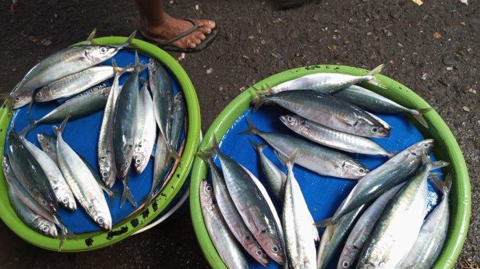 Ikan Banjiri Pasar Binaya Masohi Malteng, Momar Per 8 Ekor Besar Rp. 20 ...