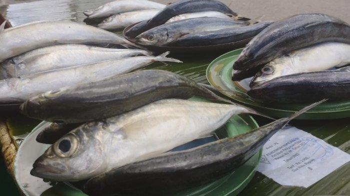 Harga Ikan di Pasar Mardika Ambon Mahal, Bahkan Stok Ikan Momar Kosong ...