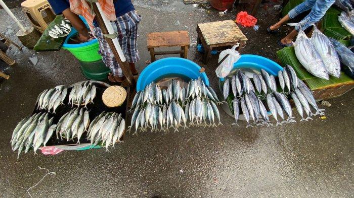 Ikan Momar hingga Cakalang di Jual Murah di Pasar Mardika Ambon! Per ...