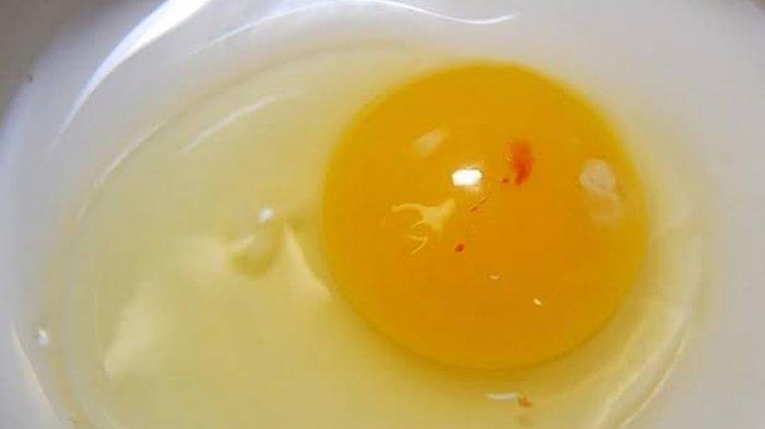 Cara Membedakan Telur Infertil dengan Telur Biasa, Ini Ciri-cirinya ...