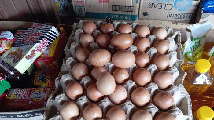 Harga Telur Ayam di Maluku Tenggara Merangkak Naik Rp 65 Per Rak - Tribunambon.com