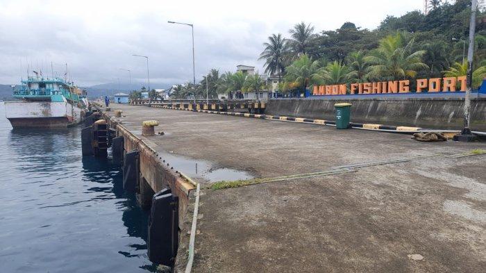 Ambon New Port Buka, Pelabuhan Perikanan Nusantara Terancam Tutup, Ini Opsi Lainnya ...
