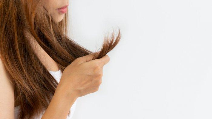 Cara Alami Atasi Rambut Kering dan Patah, Tak Perlu Memotongnya Cukup ...