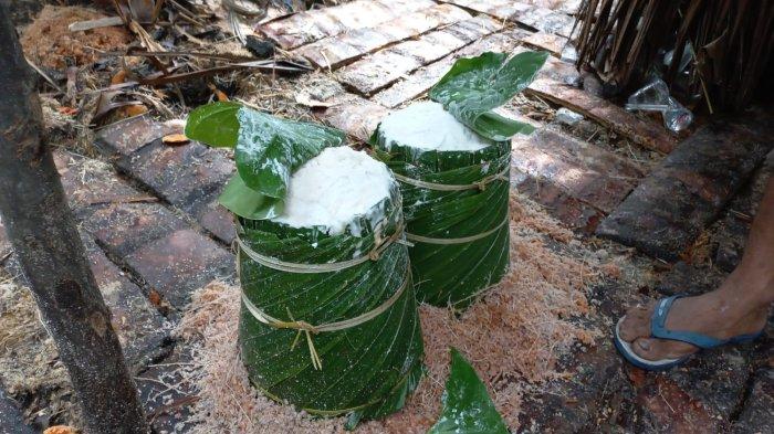 Tak Banyak yang Tahu, Ternyata Sagu Punya Banyak Manfaat bagi Kesehatan ...