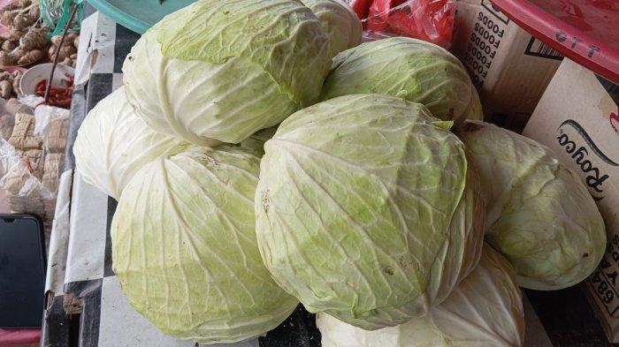 Sepekan Jelang Natal Harga Sayur Kol di Pasar Langgur Naik, Kini Rp 30 ribu Per Kilo ...