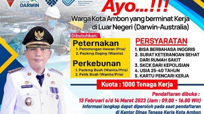 Warga Ambon yang Mau Kerja di Peternakan dan Perkebunan Australia ...