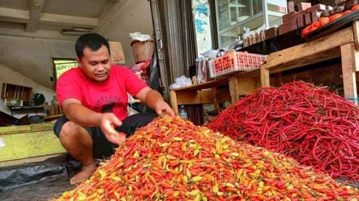 Harga Cabai Tembus Rp90 Ribu per Kilogram - BaBelnews.id