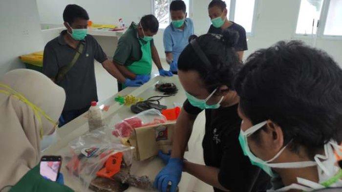 Mayat Perempuan Membusuk di Area Kebun di Belitung - BaBelnews.id