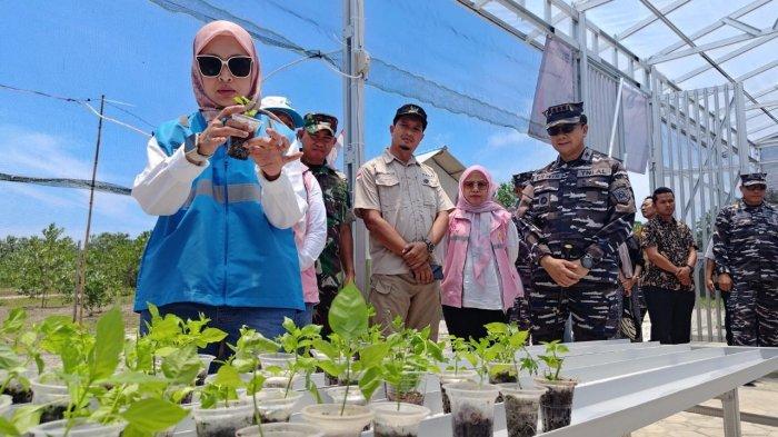 PLN Wujudkan Desa Berdaya, Dukung Kemandirian Ekonomi Masyarakat ... PLN Wujudkan Desa Berdaya, Dukung Kemandirian Ekonomi Masyarakat ...