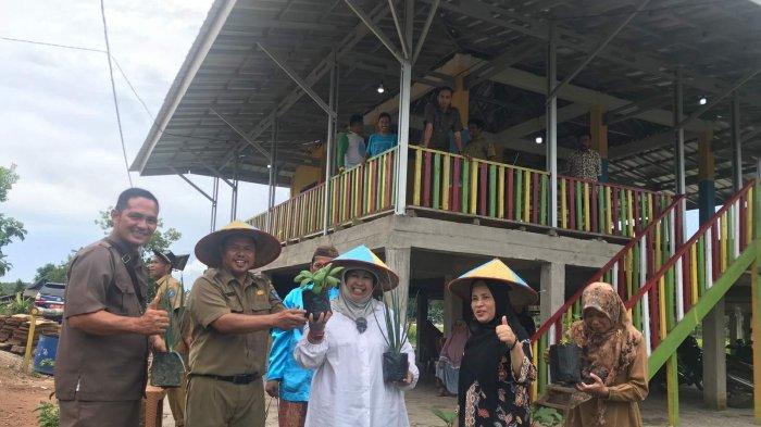 Produksi Padi Namang Standar Nasional - BaBelnews.id