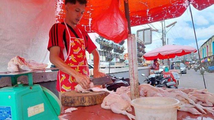 Harga Ayam Broiler Naik Rp5.000 - BaBelnews.id