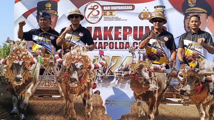 234 Peserta Meriahkan Makepung di Sirkuit All In One Jembrana, Sekaa ...