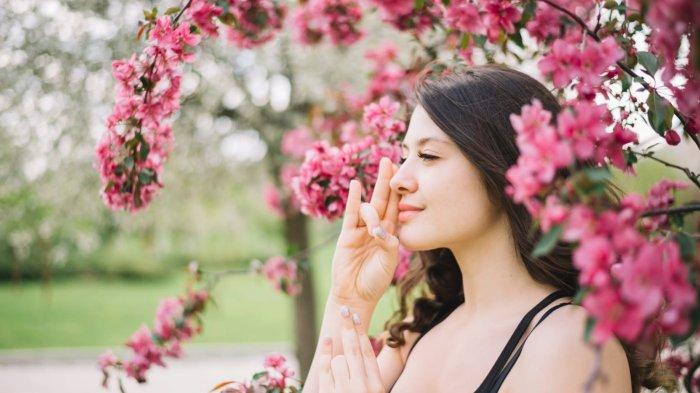 8 Arti Mimpi Bunga Sakura, Kepercayaan Diri Hingga Kebahagiaan - Tribun ...
