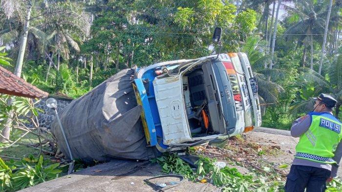 Truk Tertimpa Pohon Kelapa di Jalur Tengkorak Denpasar-Gilimanuk, Oleng Lalu Terguling di Bahu ...
