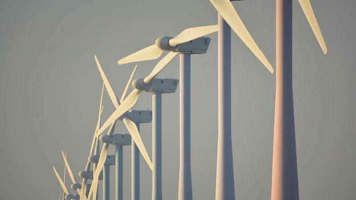 Apa Itu Green Inflation? Terminologi yang Dinilai Gagal Dijelaskan Oleh ...