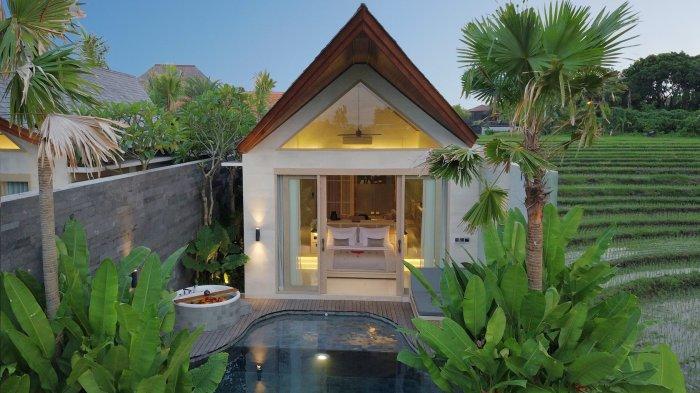 WNA Berulah di Bali, Bangun Villa Berkedok Rumah Mewah dan Kos-kosan, Kabur dari Pajak Daerah ...