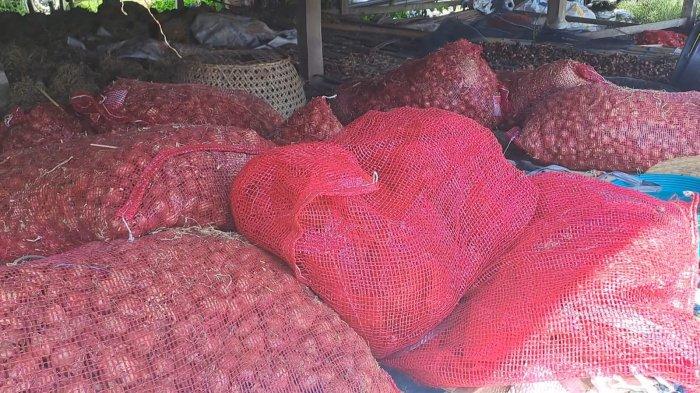 Waspada Inflasi 2024, Harga Bawang Merah dan Tomat Masih Tinggi - Tribun-bali.com