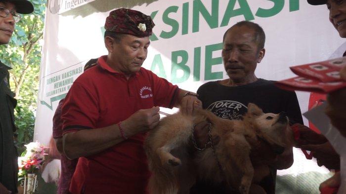 Bupati Karangasem Resmi Buka Vaksinasi Rabies di Desa Datah - Tribun ...