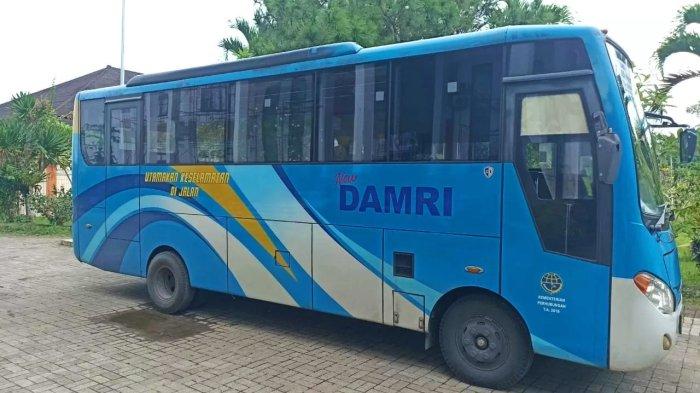 Kabar Baik Warga Sarbagita, Ini Jadwal Bus DAMRI Grastis Rute Denpasar ke Bangli PP - Tribun ...