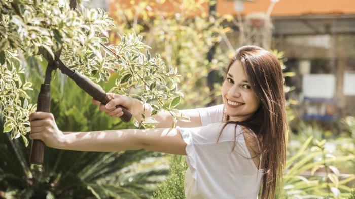 RAMALAN Shio Hari Ini 20 April 2025, Shio Ayam Diterima, Shio Kelinci ...