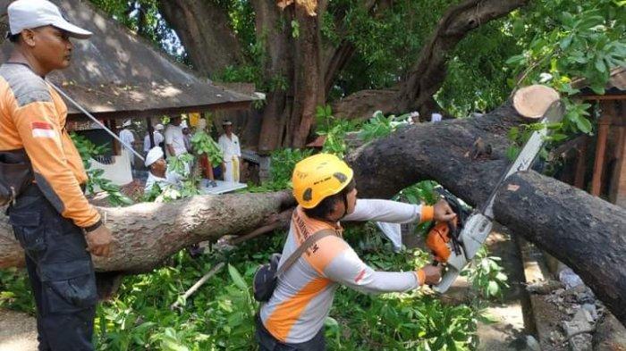 6 Pelinggih Rusak Tertimpa Dahan Pohon di Munti Gunung Karangasem - Tribun-bali.com