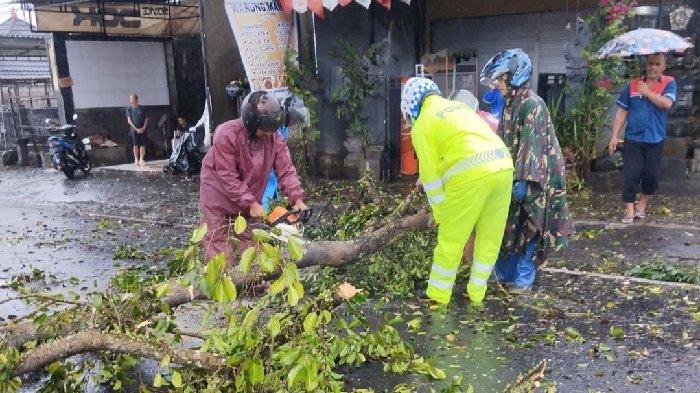 Hujan Dua Hari Akibatkan Pohon Tumbang dan Longsor di Bangli Bali - Tribun-bali.com
