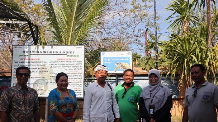 Komit Jaga Ekosistem Laut, 19 Penyu dan 203 Tukik Masuk Program ...